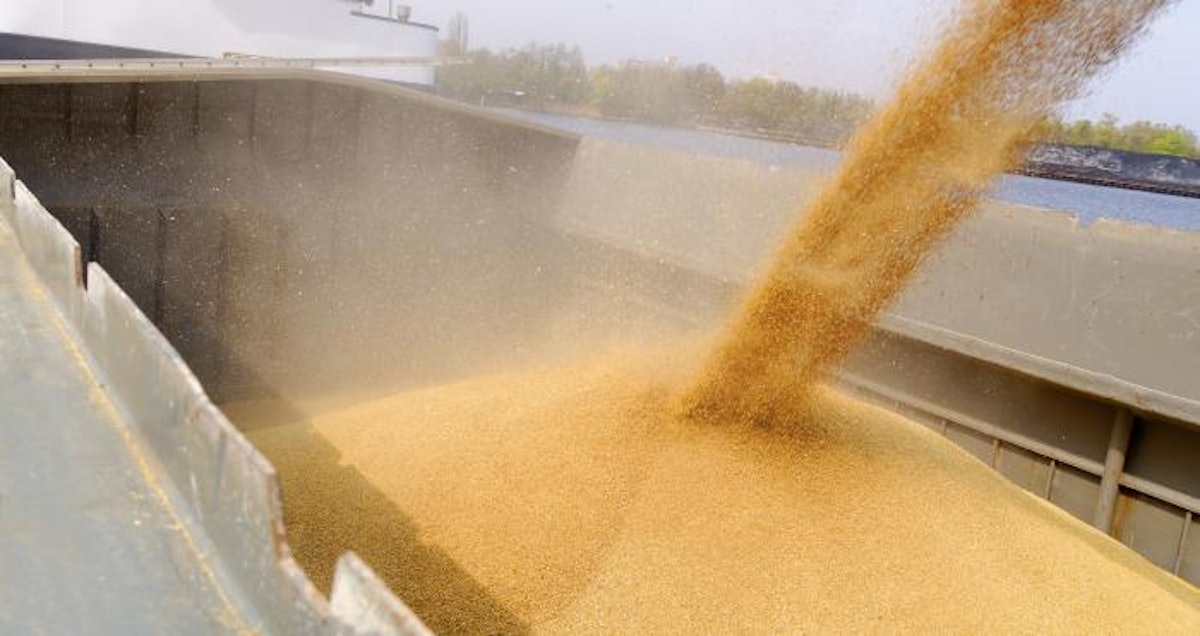 FAO: Global grain, oilseed markets in overall balance | WATTAgNet ...