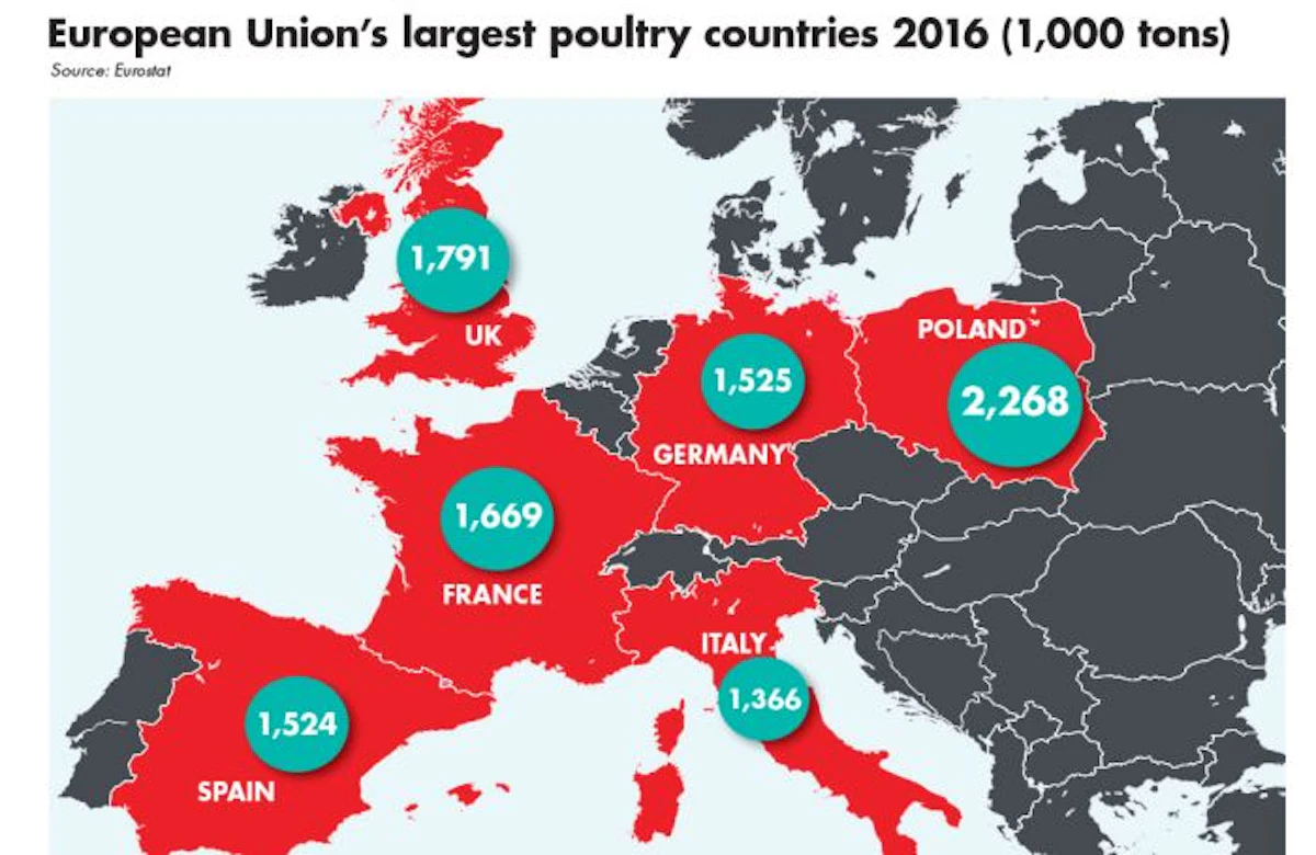 Growth in EU poultry production to slow over decade ahead | WATTPoultry.com