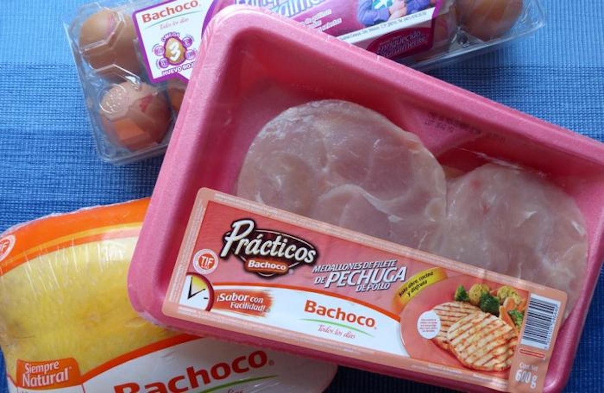 Bachoco to invest in multi-protein company RYC Alimentos | WATTPoultry.com