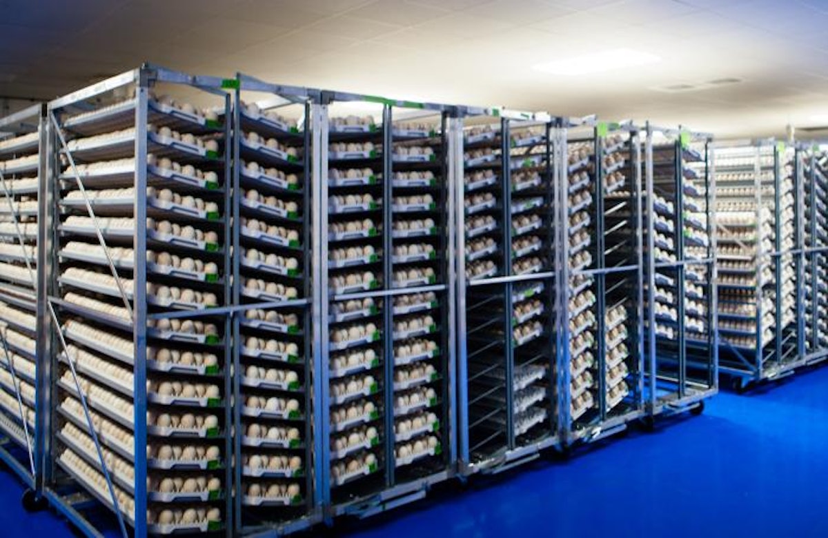 Aviagen Turkeys completes hatchery expansion | WATTAgNet | WATTPoultry.com