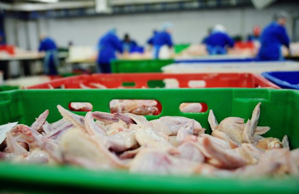Cargill to focus on strong poultry market in the Philippines ...