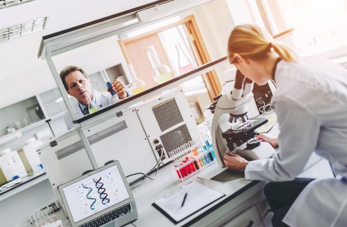 New test labs in Afghanistan improve animal feed quality | WATTAgNet ...