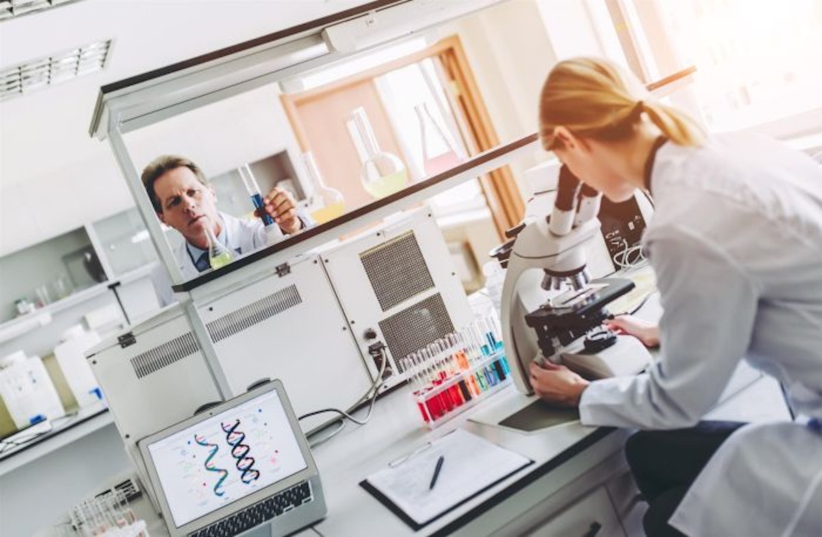 New test labs in Afghanistan improve animal feed quality | WATTAgNet ...