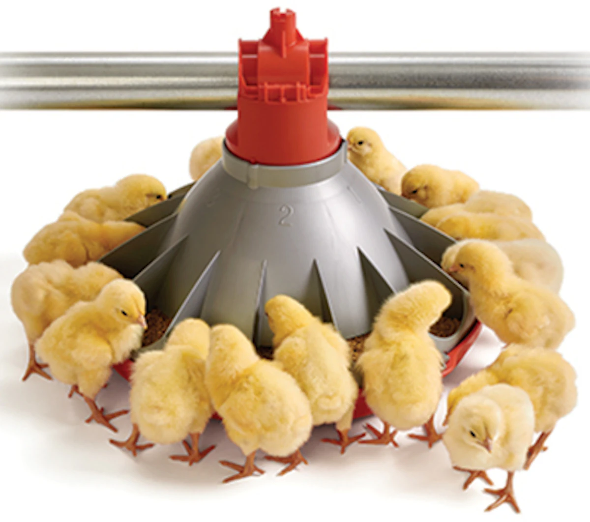 Chore-Time Konavi broiler feeder From: Chore-Time | WATTPoultry.com
