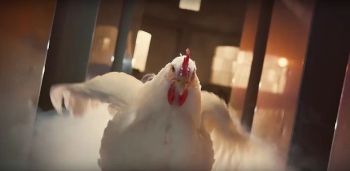 KFC Whole Chicken most-complained-about UK 2017 ad | WATTAgNet ...