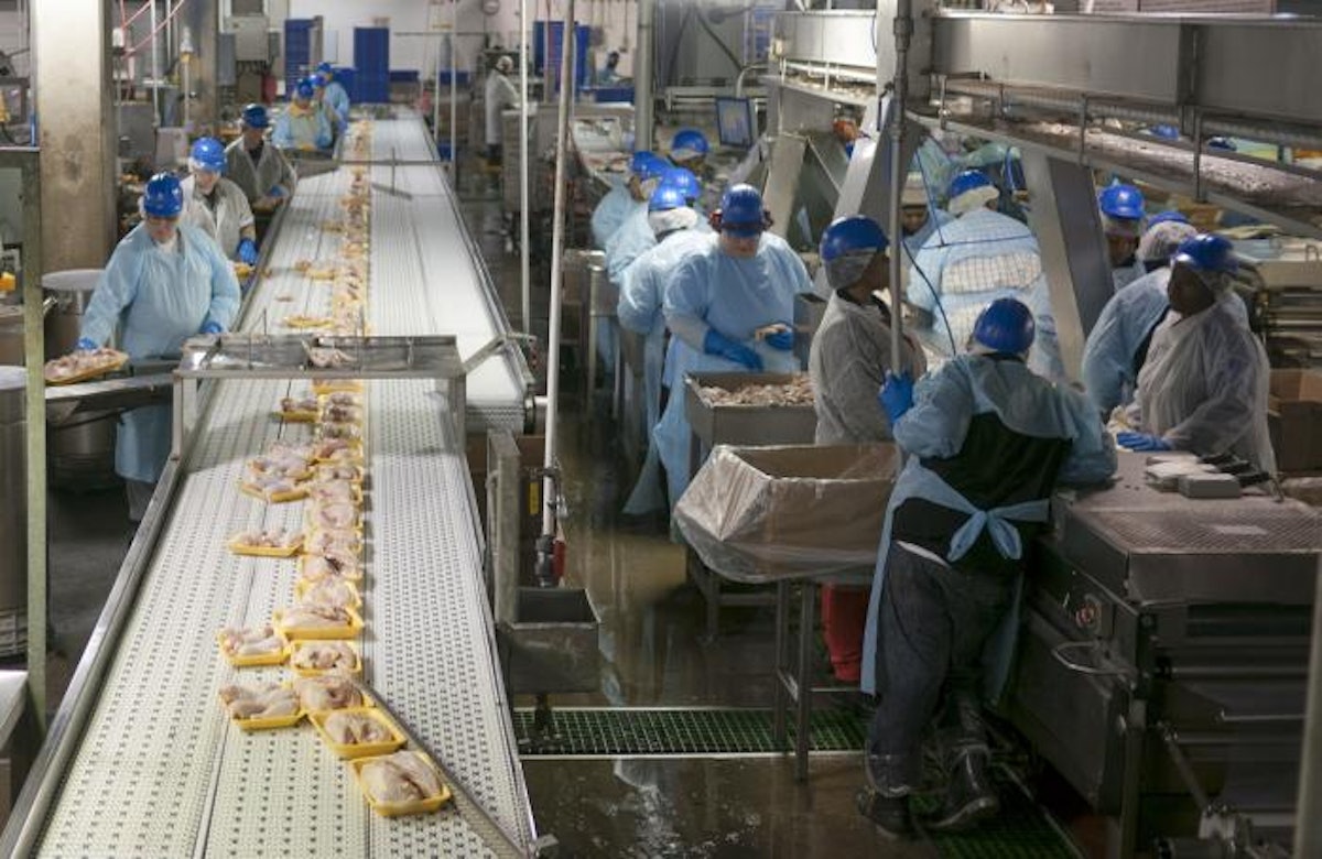 Perdue installs CAS system at organic poultry plant | WATTAgNet ...