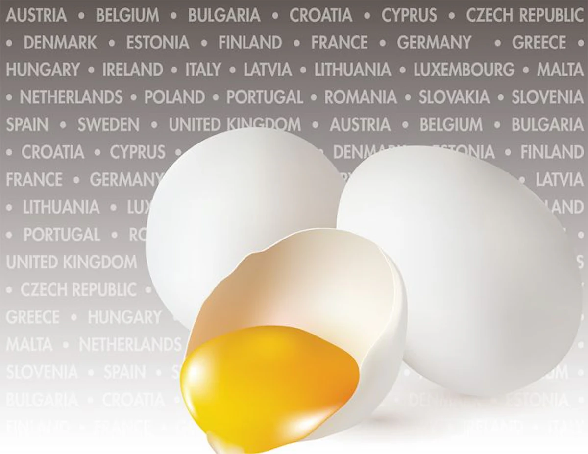 Why European egg production may be flat in 2018 | WATTAgNet ...
