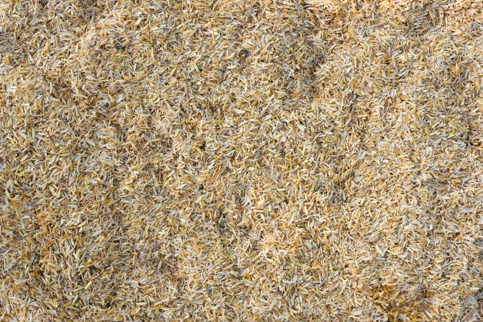 Kazakhstan explores potential of rice hulls as a feed ingredient ...