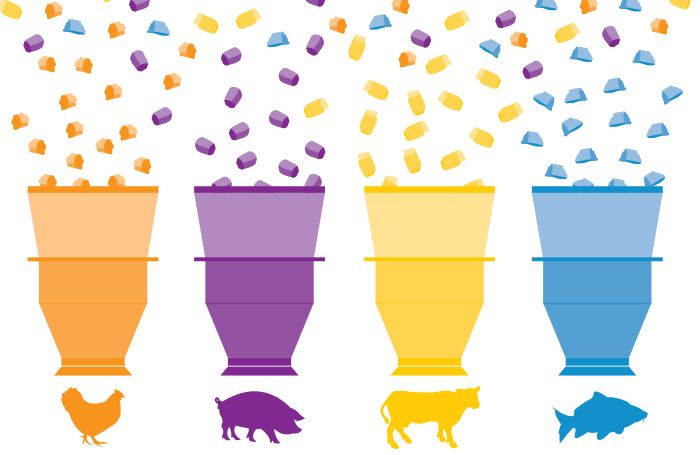 World Feed Panorama 2018: volumes up despite challenges | WATTAgNet ...