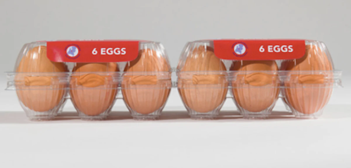 GI-OVO All Clear crystal-clear egg packaging | WATTPoultry.com