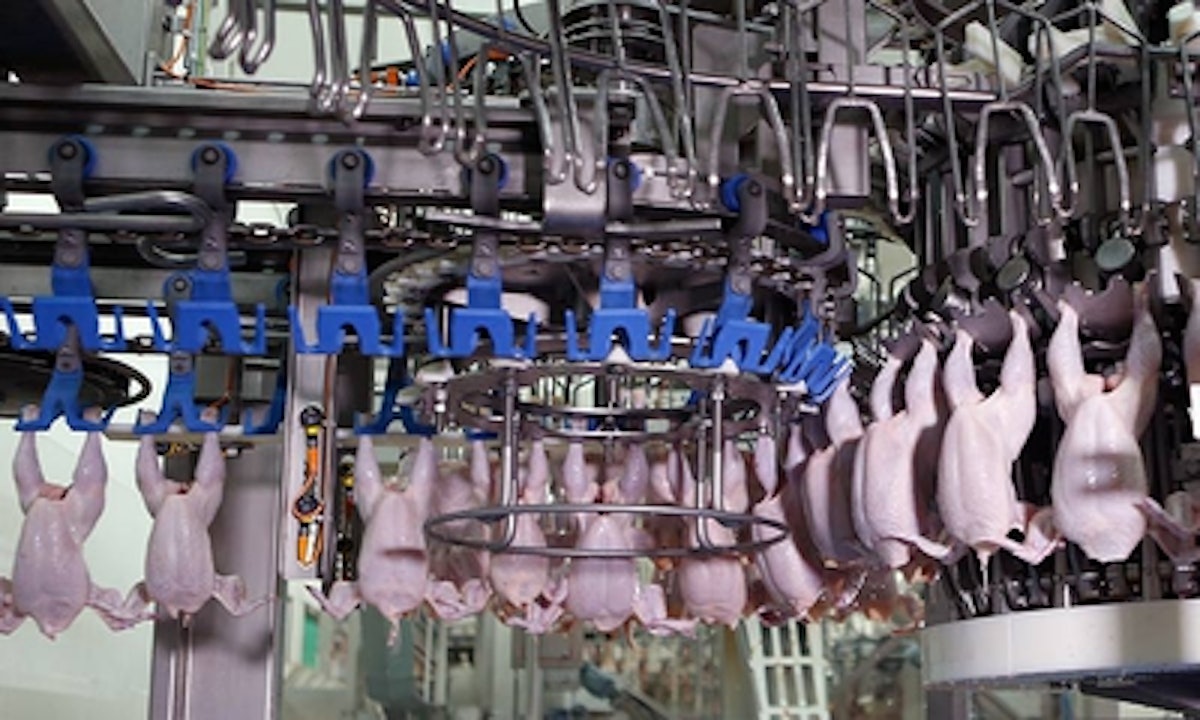 Marel LineLink transfer systems From: Marel | WATTPoultry.com