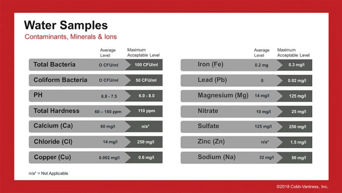 Efficient water management practices for broiler flocks | WATTAgNet ...