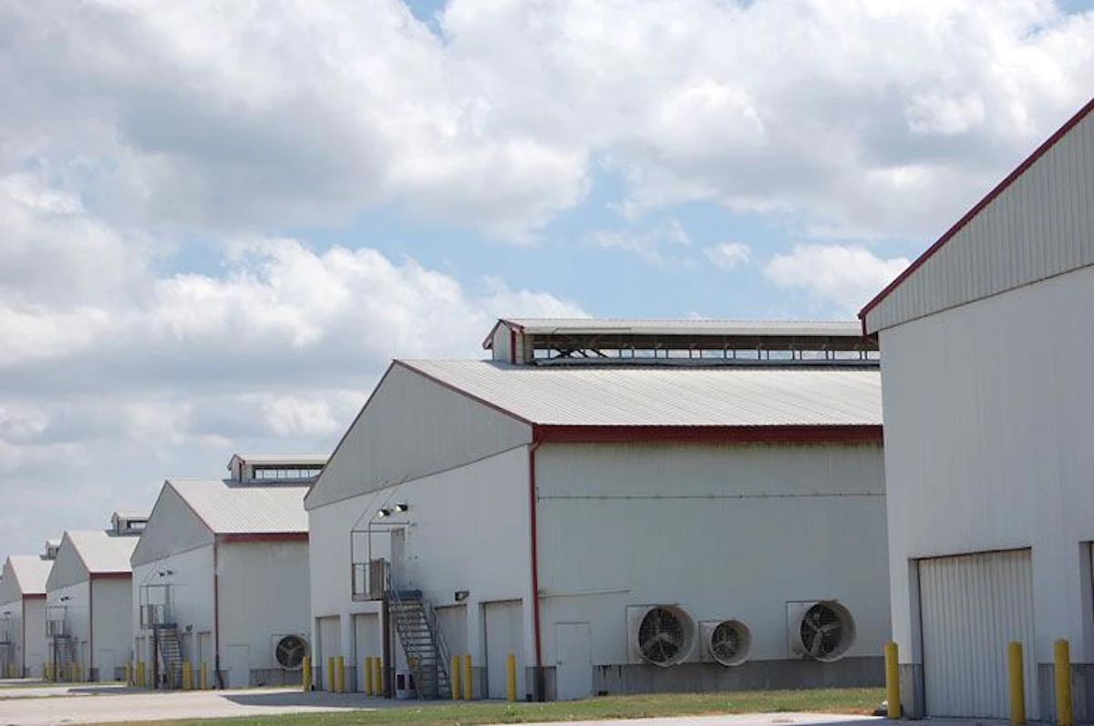 Rose Acre Farms shares egg recall experiences | WATTAgNet | WATTPoultry.com