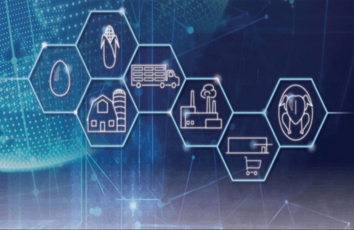 4 potential food safety advances powered by blockchain | WATTAgNet ...