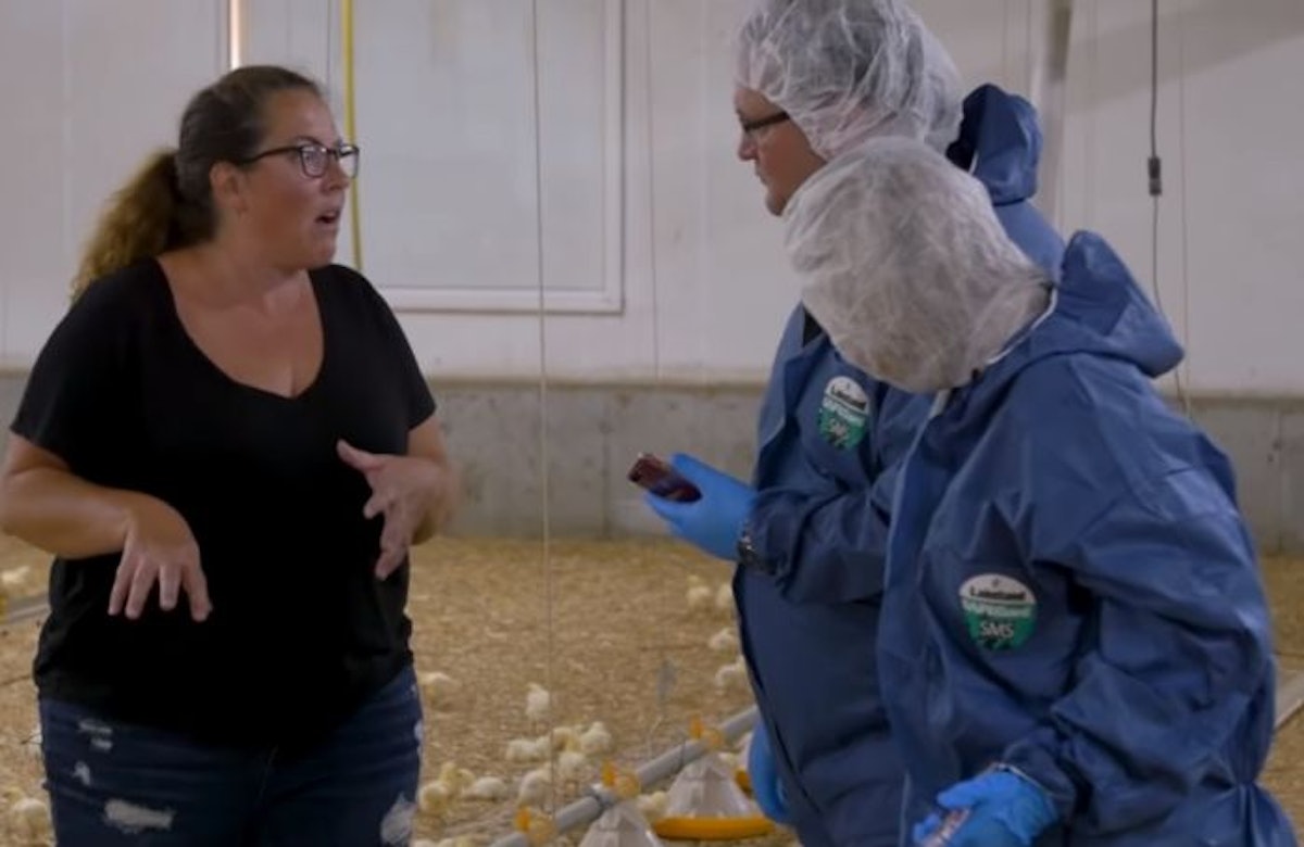 Food bloggers impressed with Ontario chicken farm | WATTAgNet ...