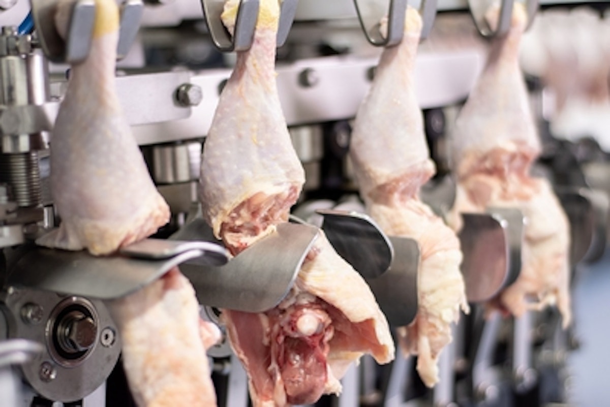 Foodmate OPTiX Thigh Deboner with X-ray technology | WATTPoultry.com