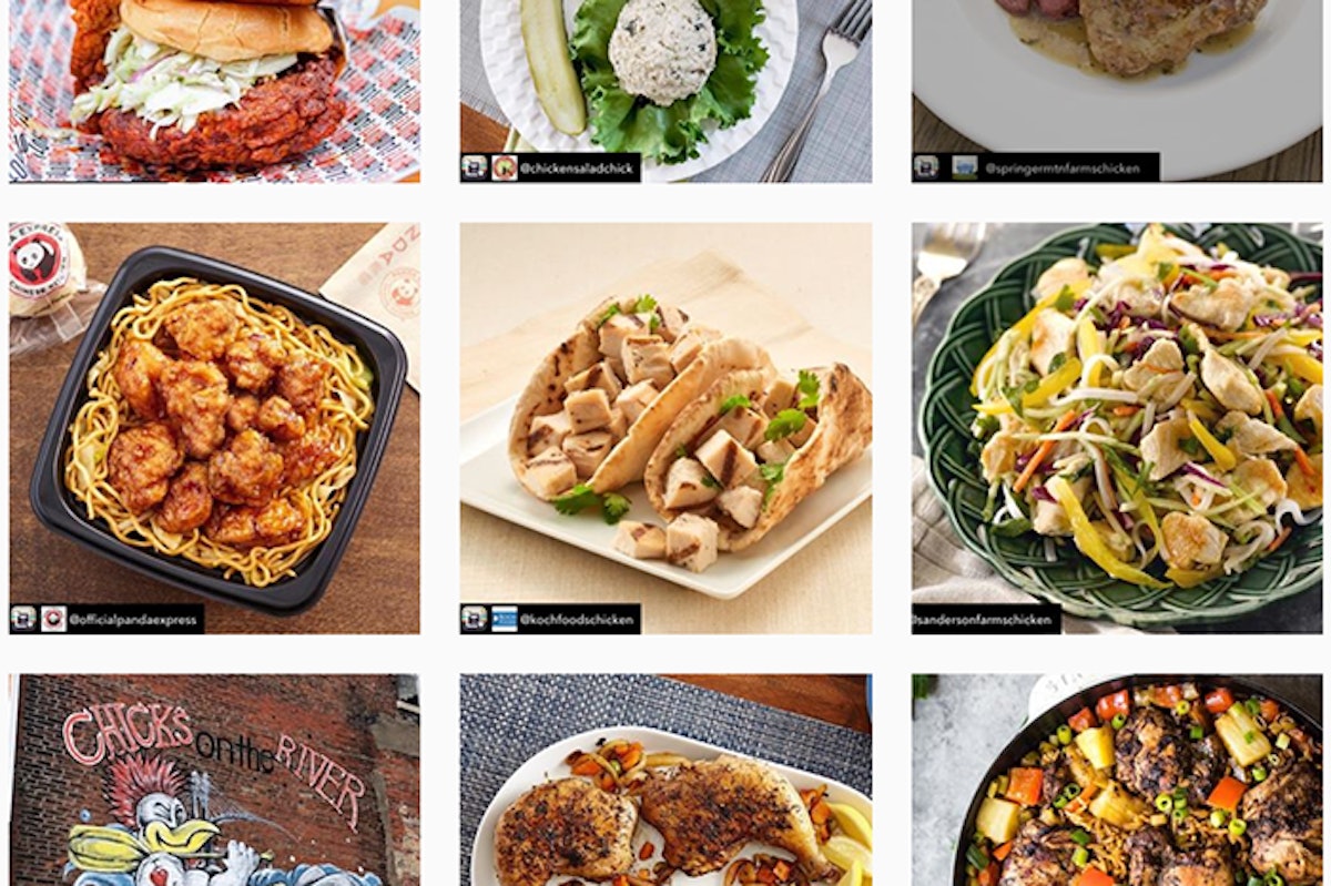 Help us celebrate chicken on Instagram | WATTAgNet | WATTPoultry.com