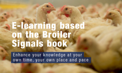 Vetworks Broiler Signals Online Study Centre From: Vetworks BVBA ...