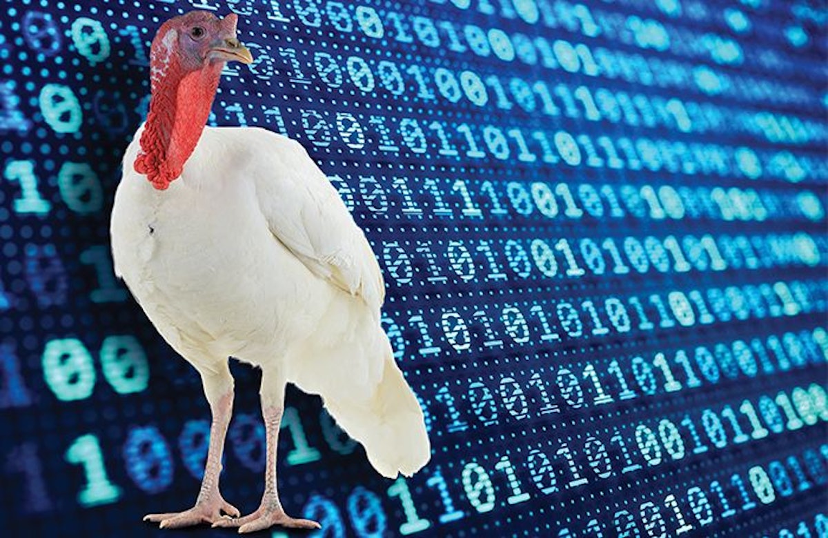 8 digital technologies to disrupt the turkey industry | WATTAgNet ...