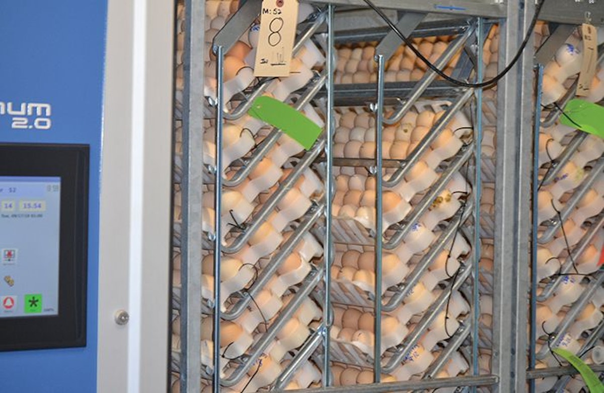 Aviagen’s newest, largest hatchery to serve US and beyond | WATTAgNet ...