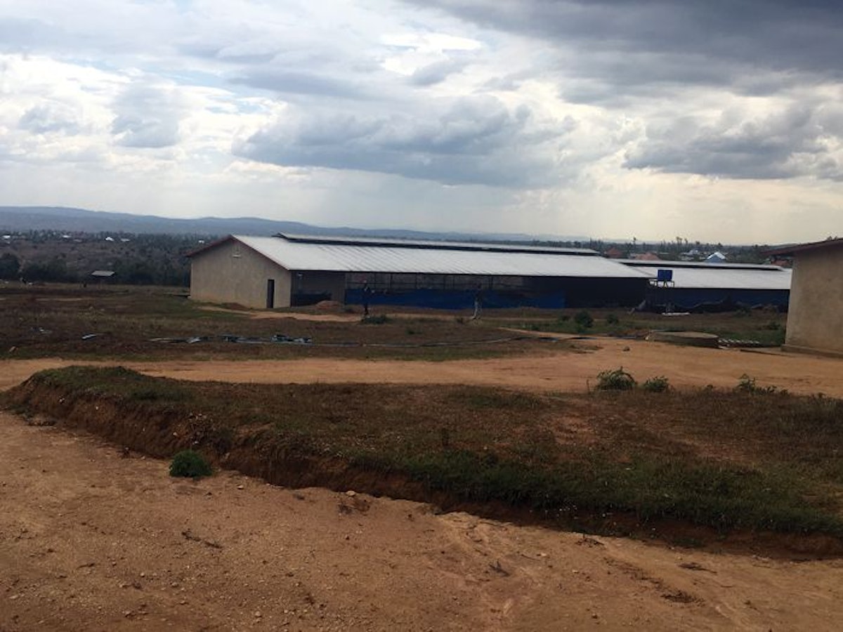 Poultry East Africa Ltd. going from strength to strength | WATTAgNet ...