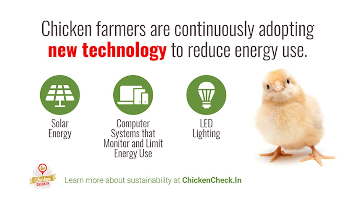 Chicken Check In refresh improves industry transparency | WATTAgNet ...