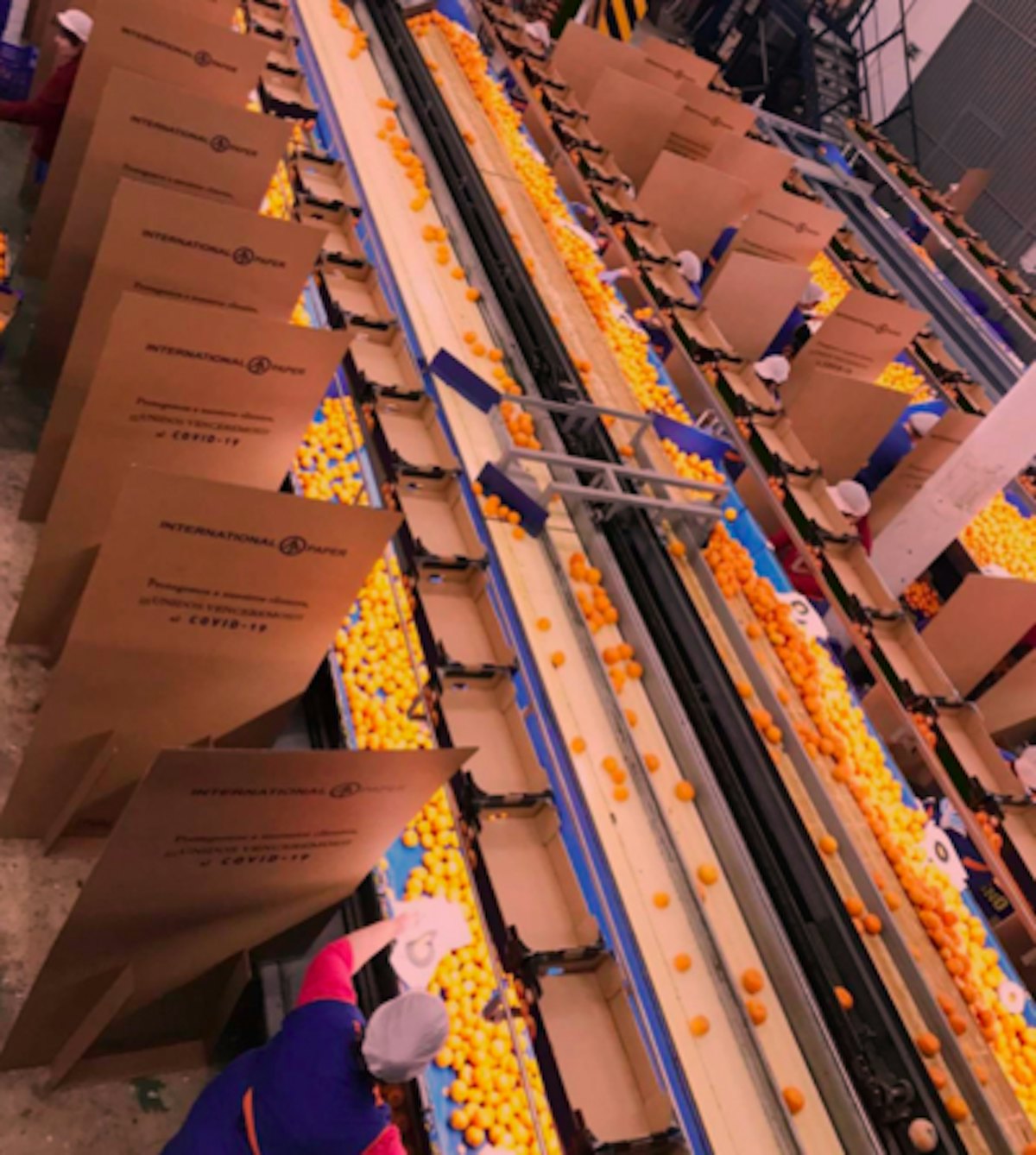 International Paper Space Divider corrugated separators From ...