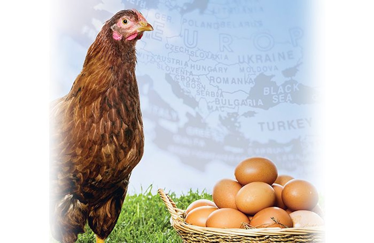 Which are Europe’s largest poultry, egg producers? | WATTAgNet ...