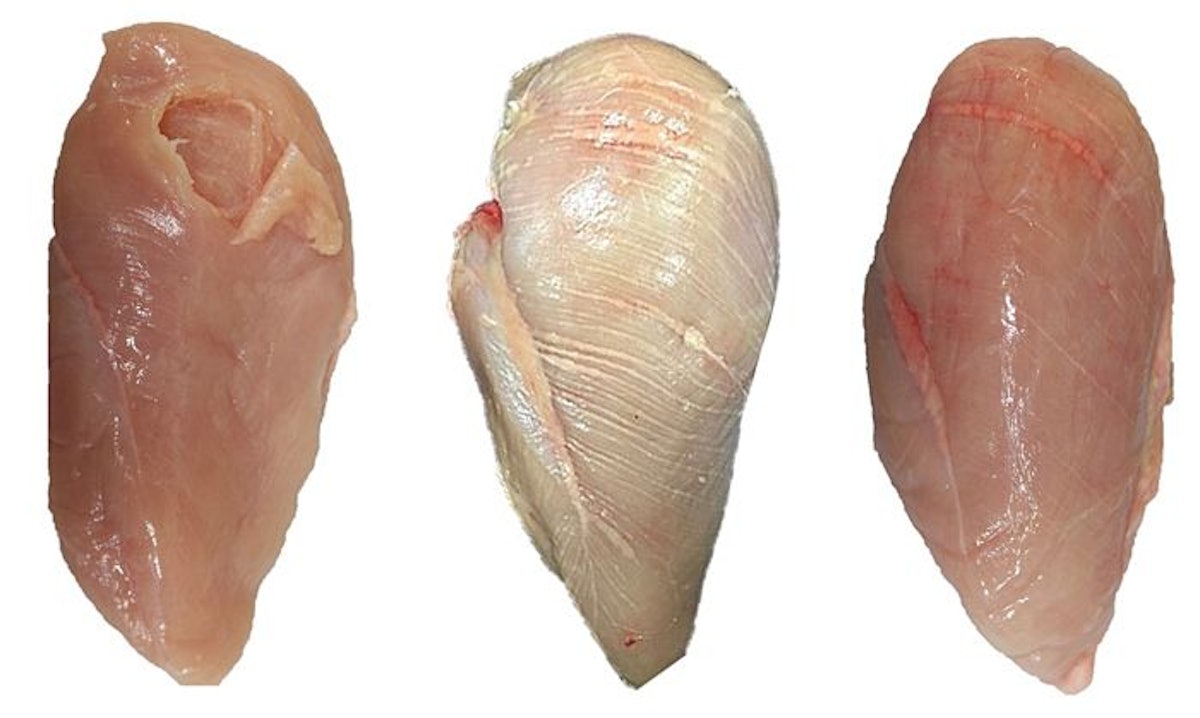 Machine vision could help woody breast detection in poultry ...