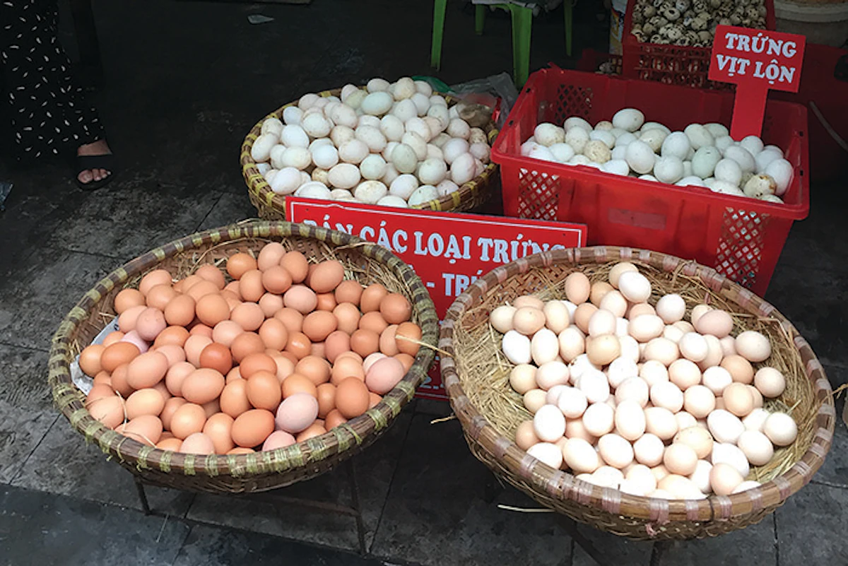 Global egg production records a decade of strong growth | WATTPoultry.com