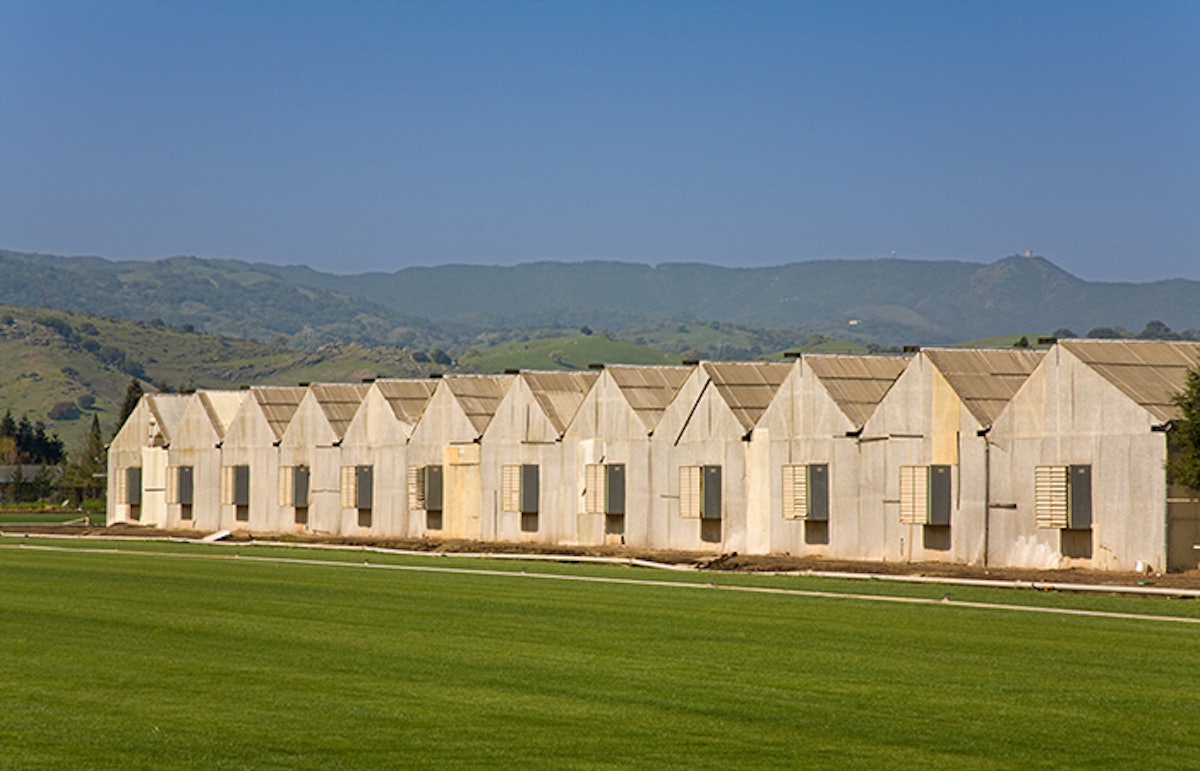 5 components of a successful poultry house cleanout | WATTPoultry.com