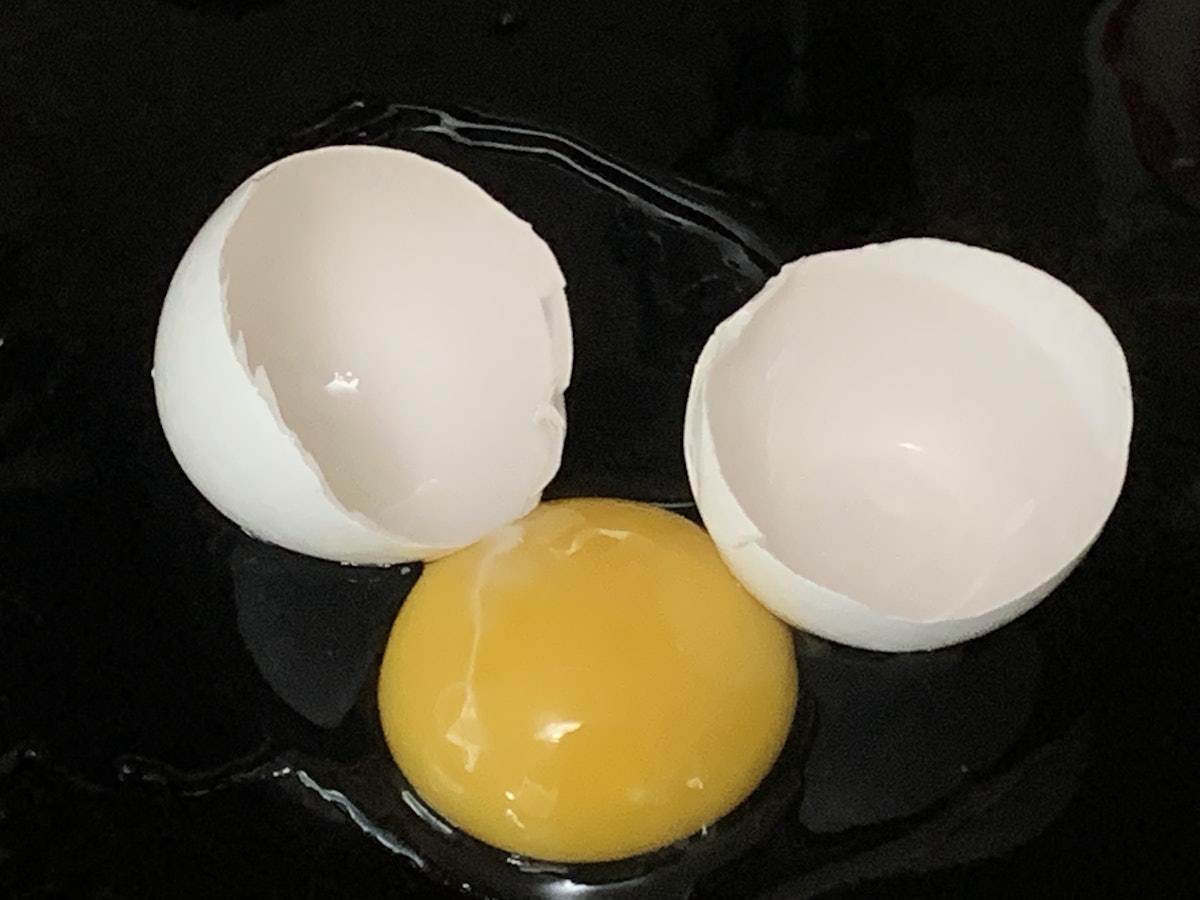 More than simply nutrition inside an egg | WATTPoultry.com