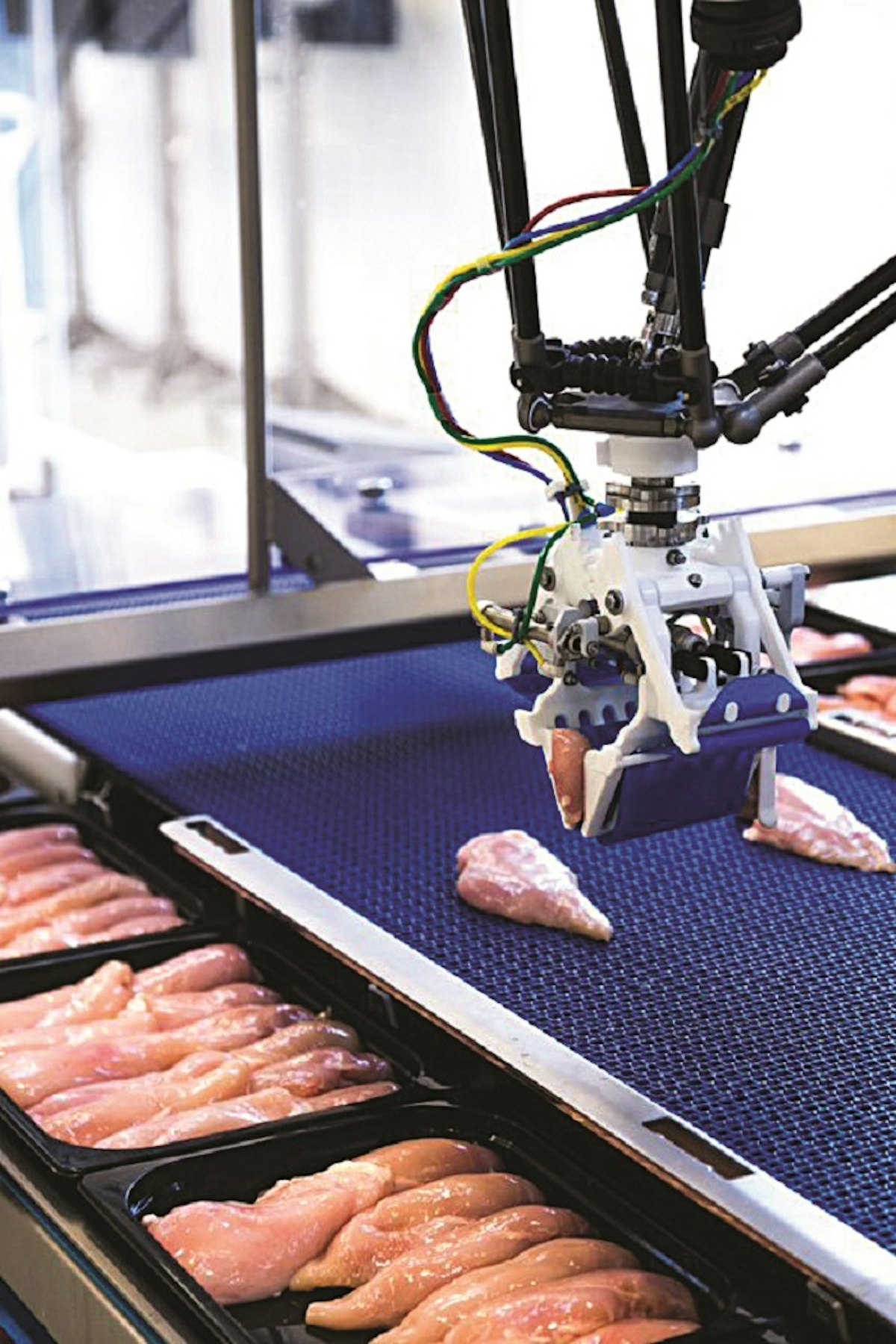 Automation could future-proof poultry processing | WATTPoultry.com