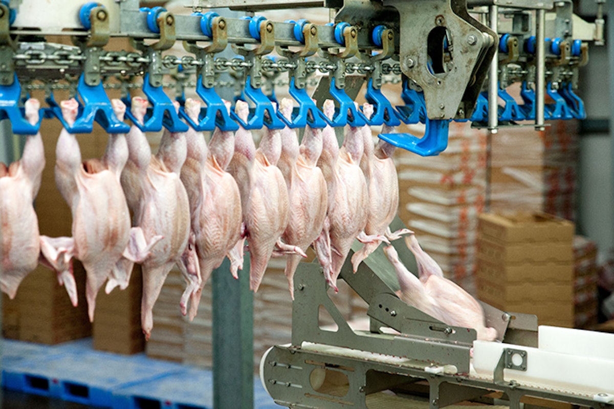 How PAA affects poultry wastewater treatment systems | WATTPoultry.com
