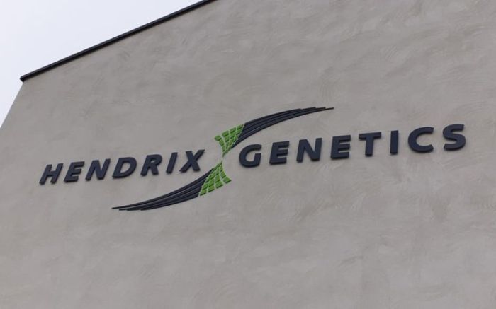 Paine Schwartz completes investment in Hendrix Genetics | WATTPoultry.com