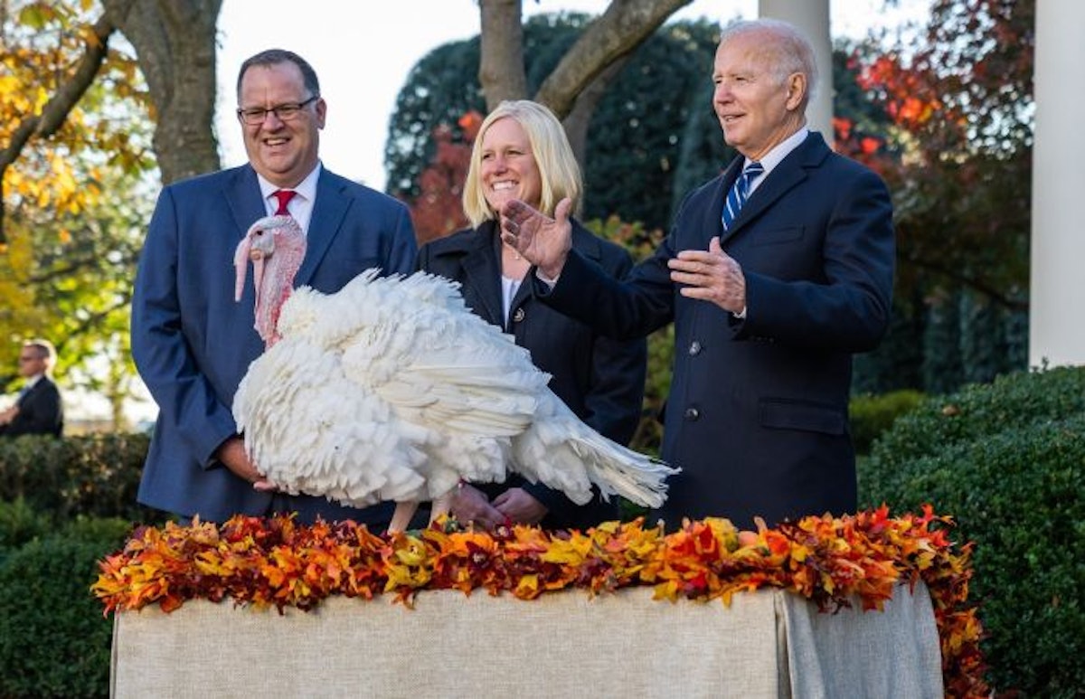 Biden stayed on right track during turkey pardoning | WATTPoultry.com