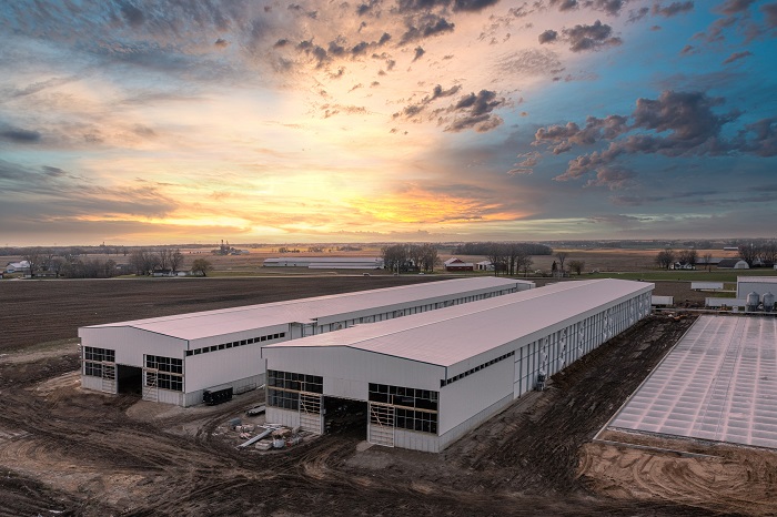 Legislation forces Hamilton Eggs’ cage-free conversion | WATTPoultry.com