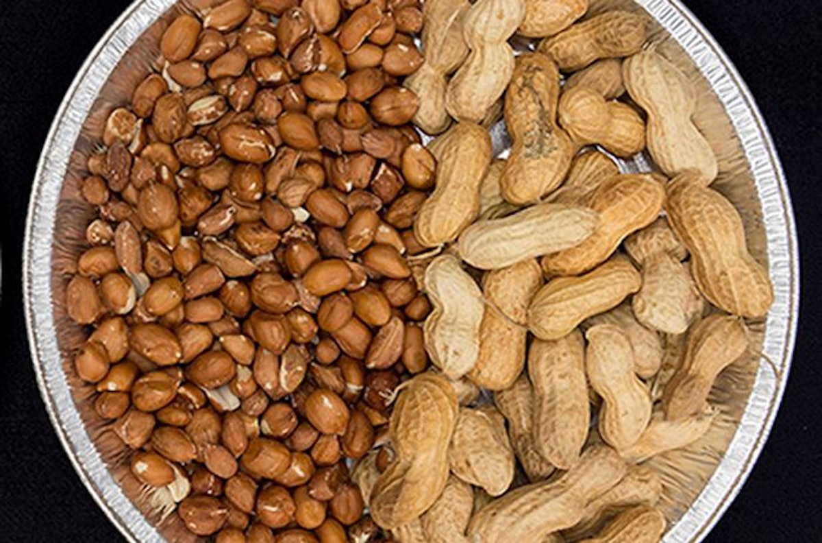 Let them eat peanut skins! New ingredient on poultry menu | WATTPoultry.com