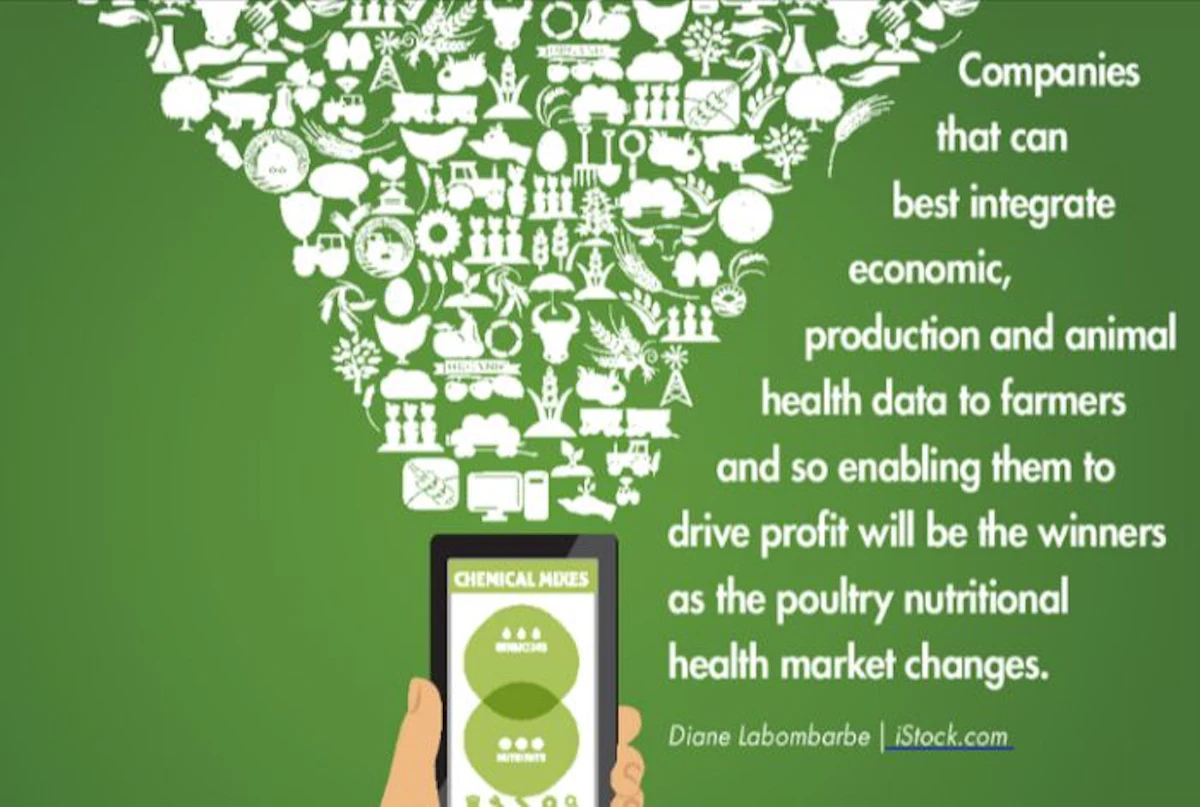 The next phase of the poultry nutritional health market | WATTPoultry.com