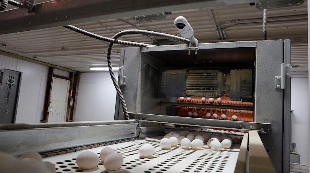 Egg counter camera placement matters for accurate totals | WATTPoultry.com
