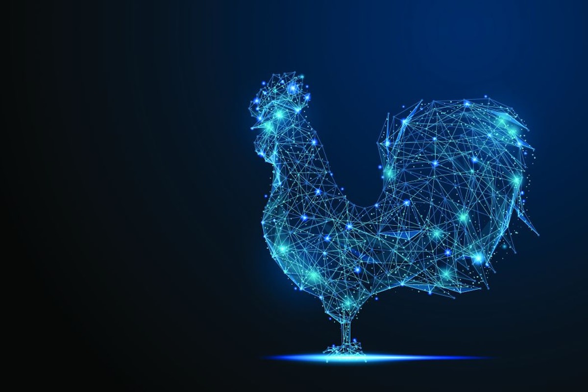 Digitalization - a growing divide in animal production | WATTPoultry.com