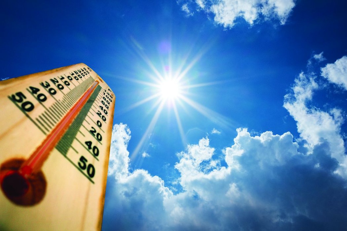 How to manage broiler heat stress | WATTPoultry.com