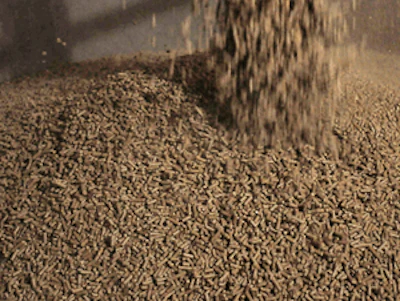 Europe: EU grain production update | WATTPoultry.com