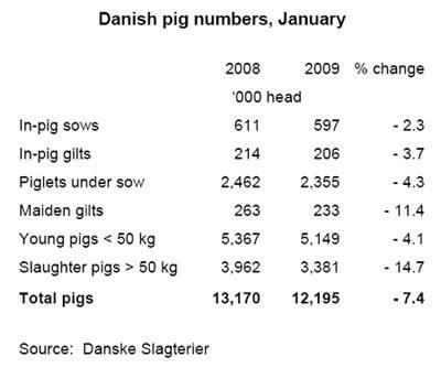Pig International - Danish pig survey shows 7% decline | WATTPoultry.com
