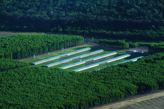 Brazil, one of the most sustainable poultry producers | WATTPoultry.com