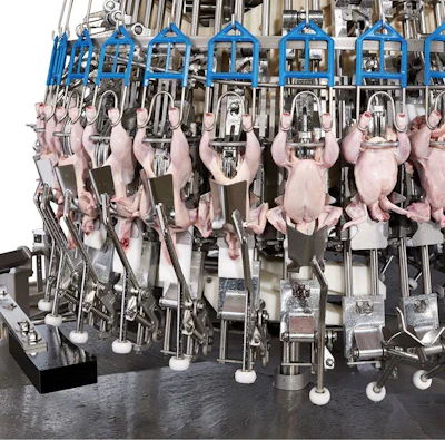 10 tips for proper broiler evisceration | WATTAgNet | WATTPoultry.com