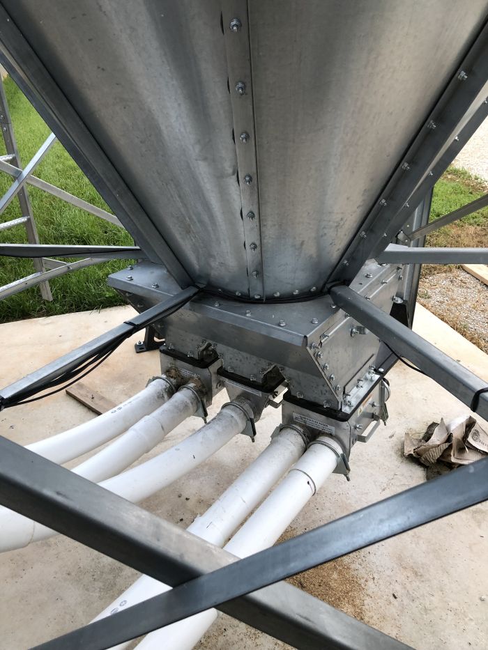 Feeding practices to maximize broiler breeder flock uniformity ...