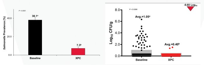 Diamond V director of food safety releases salmonella report ...