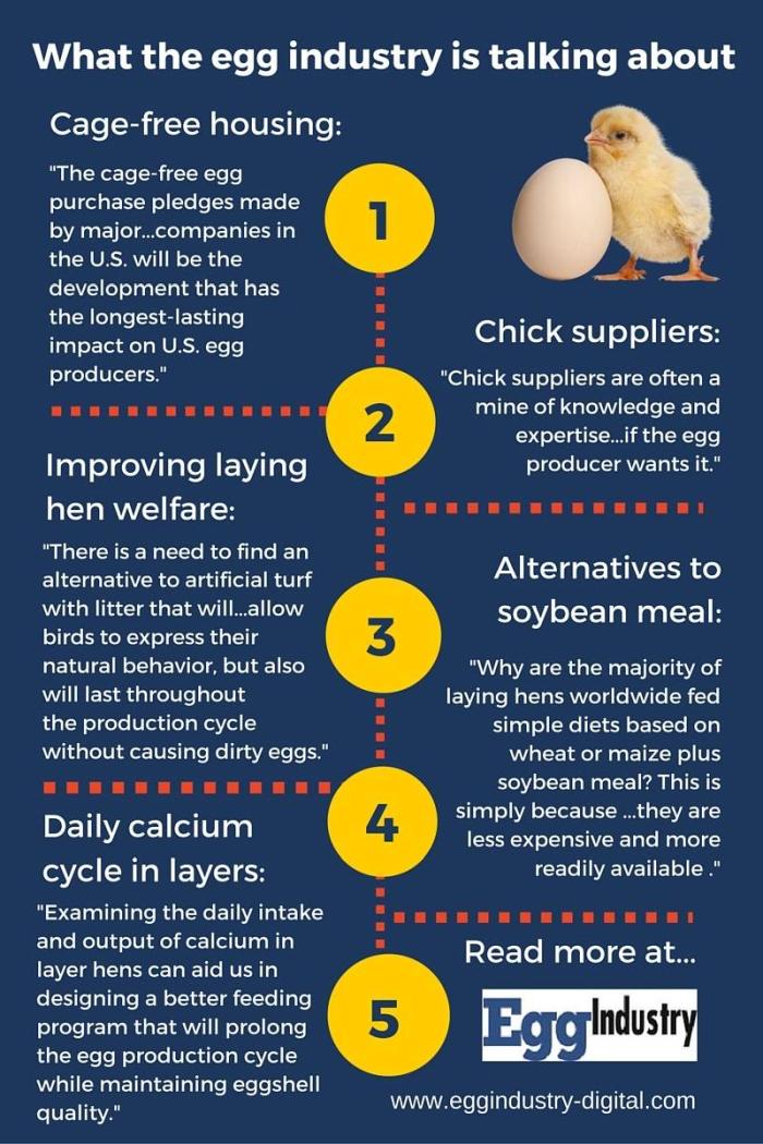 Infographic: What the egg industry is talking about | WATTAgNet ...