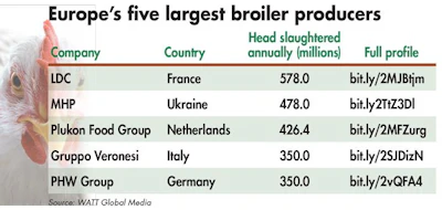 Which are Europe’s largest poultry, egg producers? | WATTAgNet ...